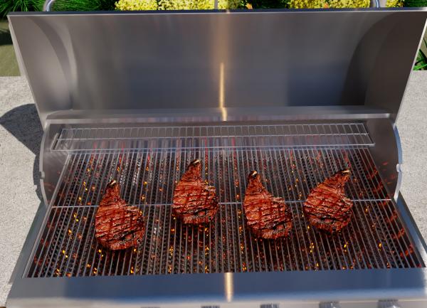 RevitCity.com | Object | Outdoor Barbecue - Drop-in - with flames ...