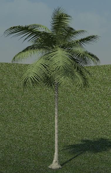 RevitCity.com | Object | Palmeira