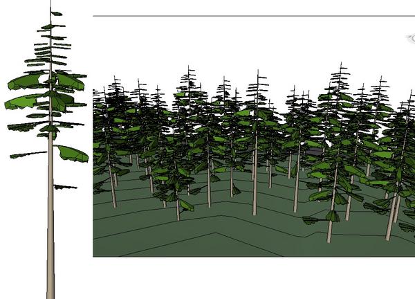 RevitCity.com | Object | Sitka Spruce